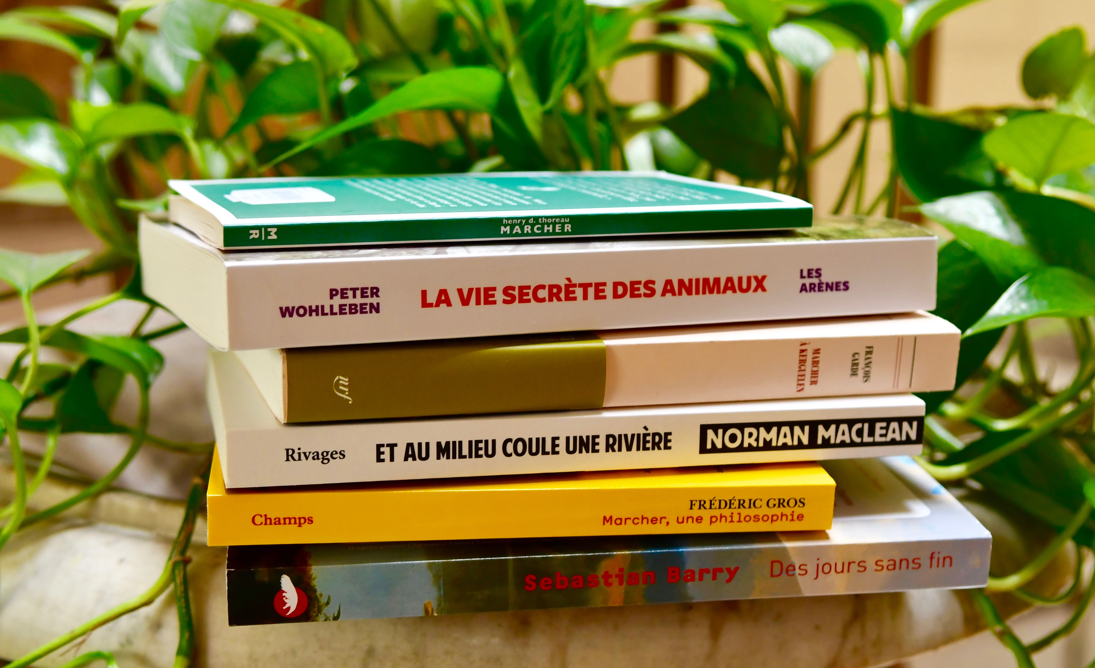 ALBERTINE | 5 Books that Celebrate The Beauty of Nature!
