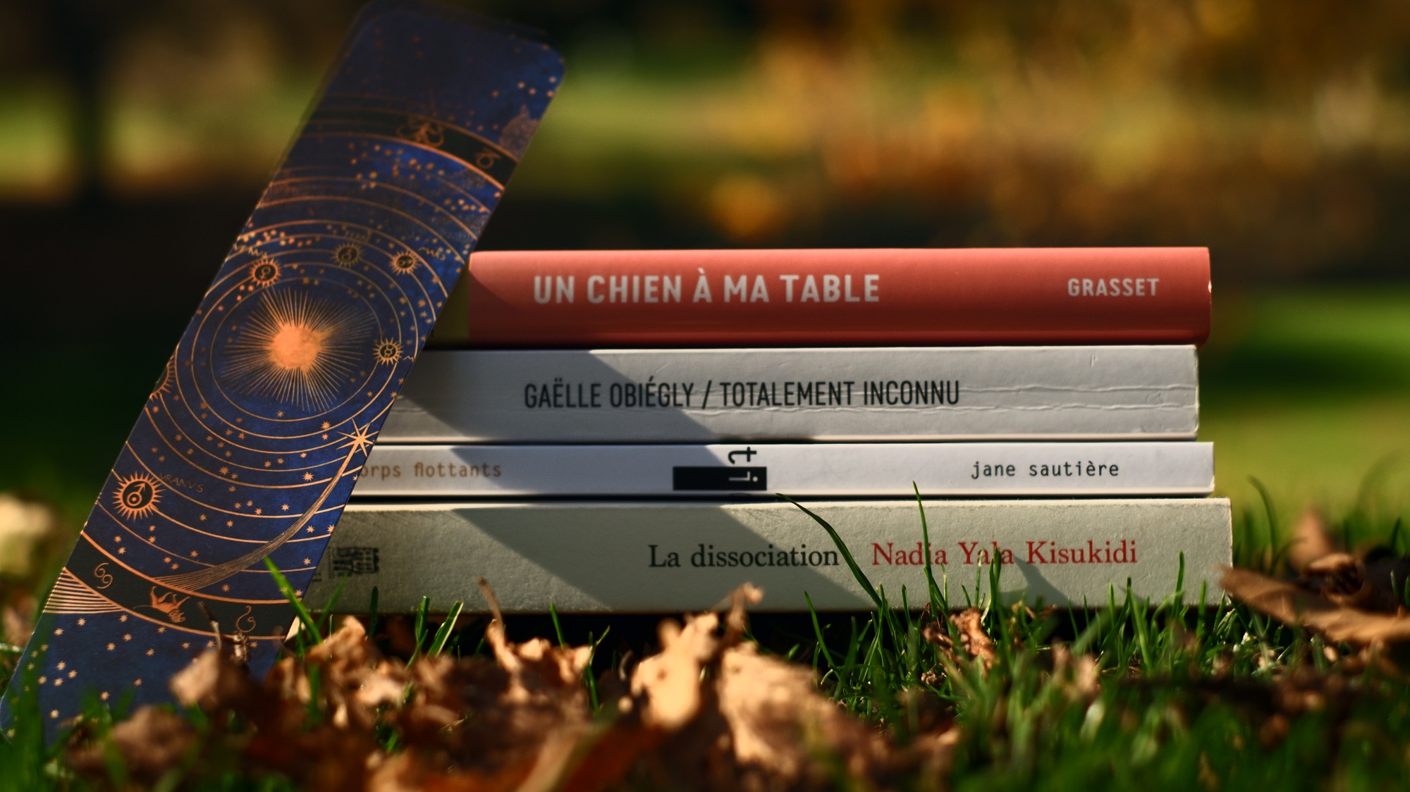 ALBERTINE | 4 New Bold Fiction Titles by French Women