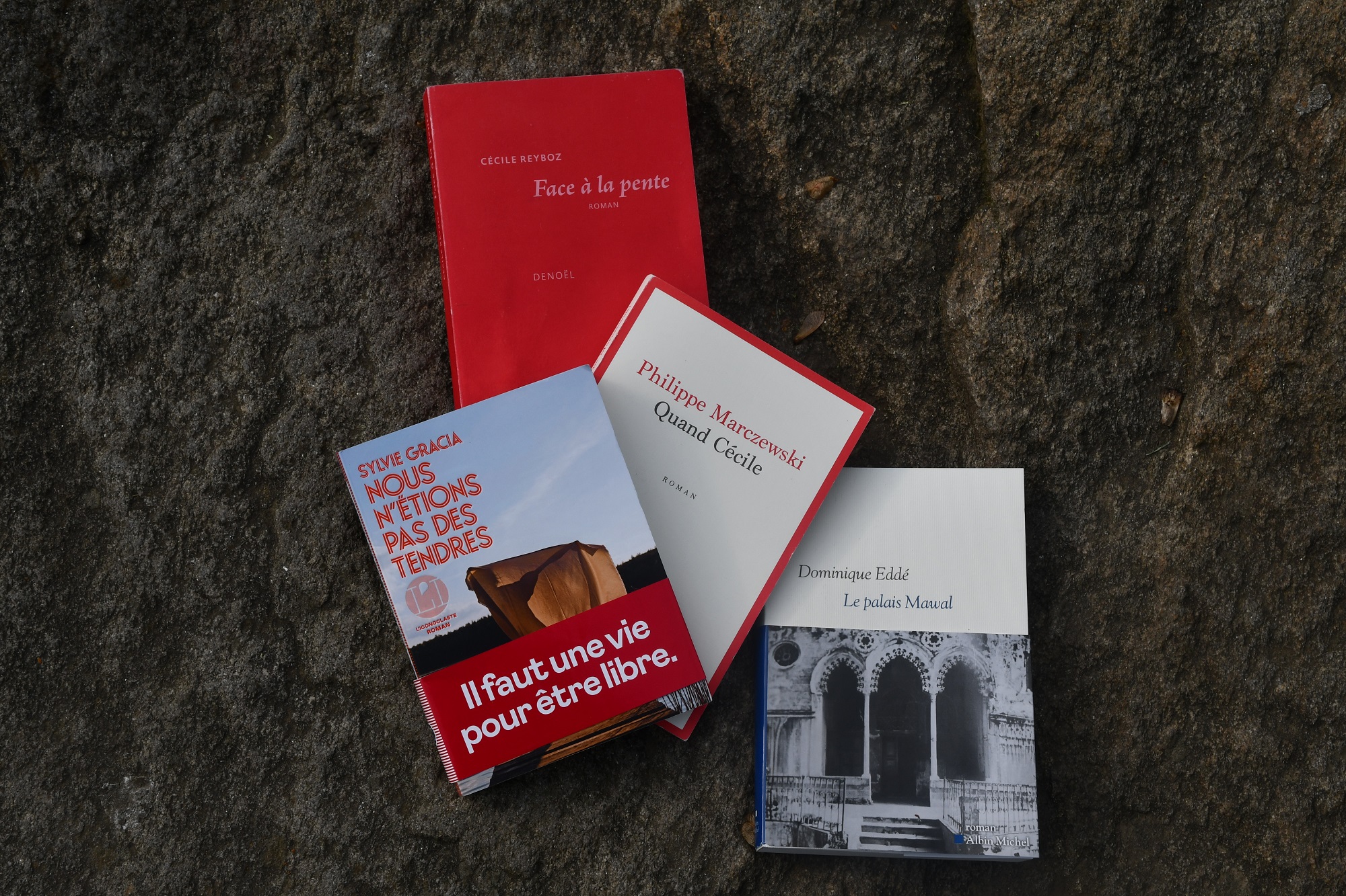 ALBERTINE | Four French Fiction Books To Read This Spring