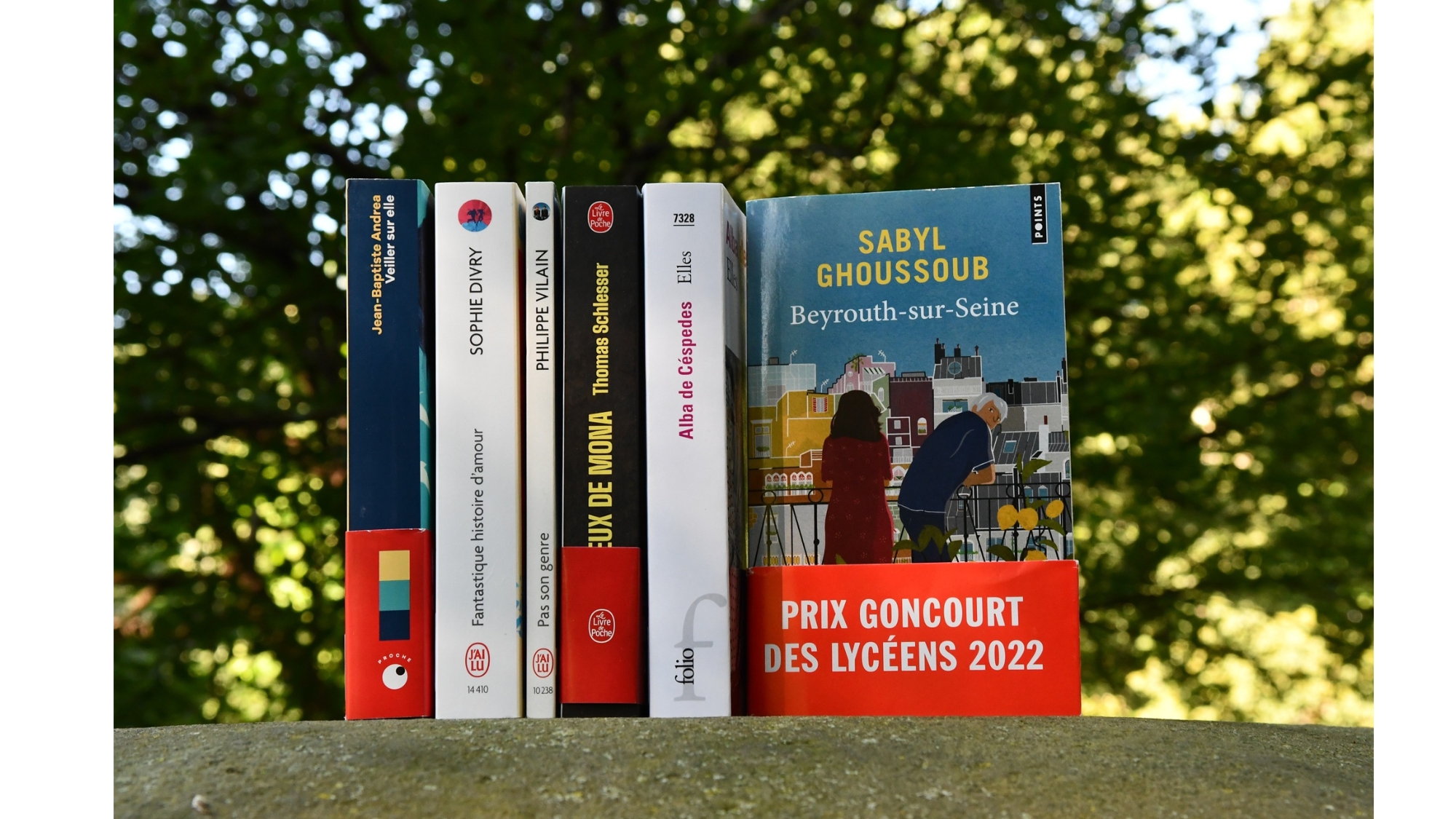 ALBERTINE | Sun, Sea, and a Stack of Great Stories!